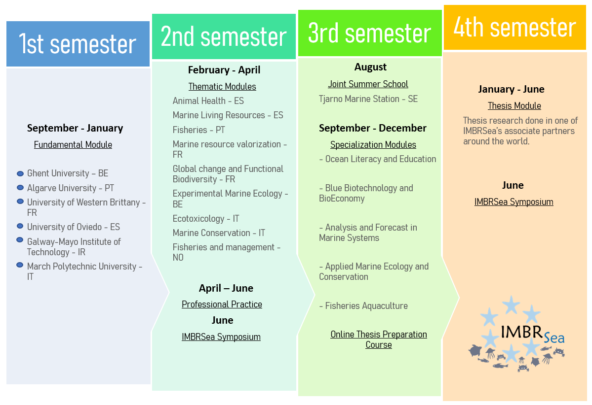 Study Program | IMBRSea
